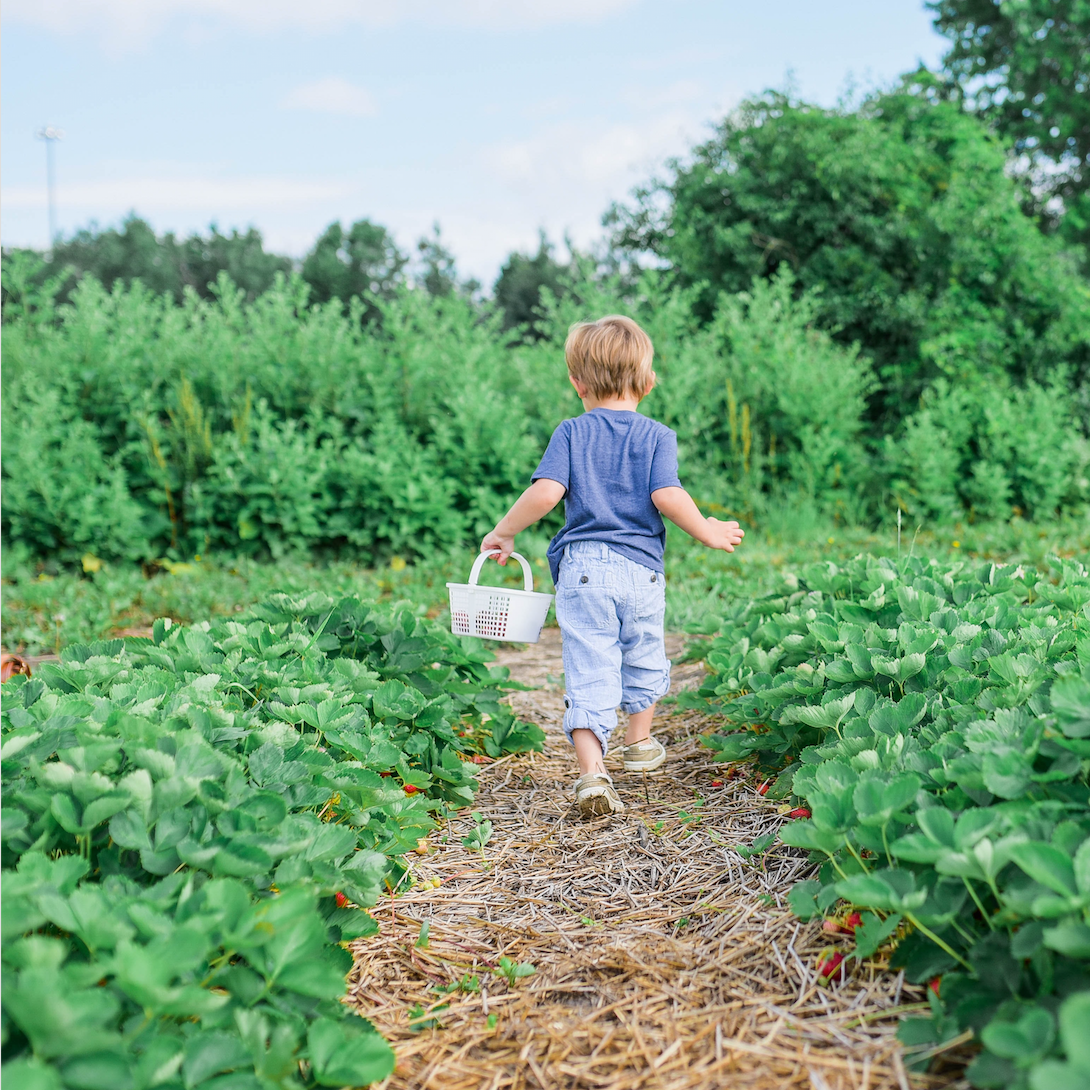 Veggie Gardening With Kids – Fun Things to Grow In Your Backyard – The ...
