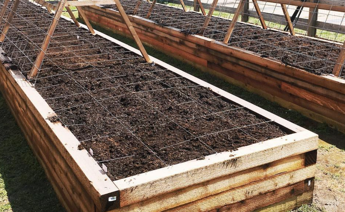 4x8 ft Square Post Cedar Wood Raised Bed – The Young Nonno